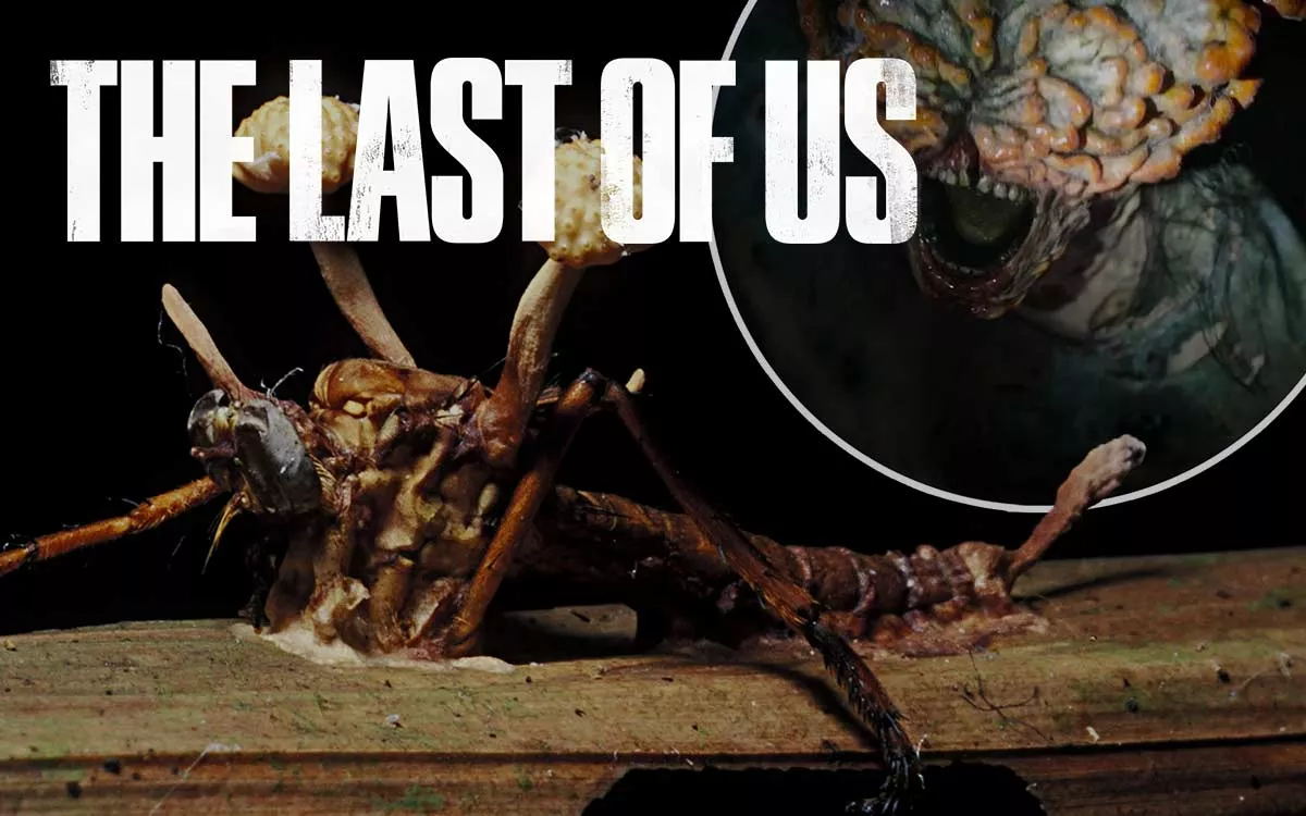 Buy The Last of Us™ Part I PC Steam Game Code - Best Price | eTail