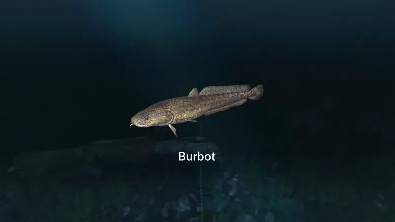 Buy Ultimate Fishing Simulator - New Fish Species PC Steam Game Code ...